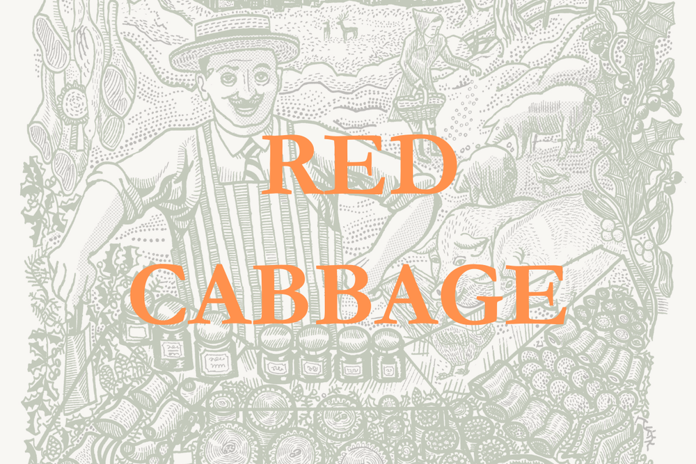 Braised Red Cabbage 520g | Appleton's Butchers